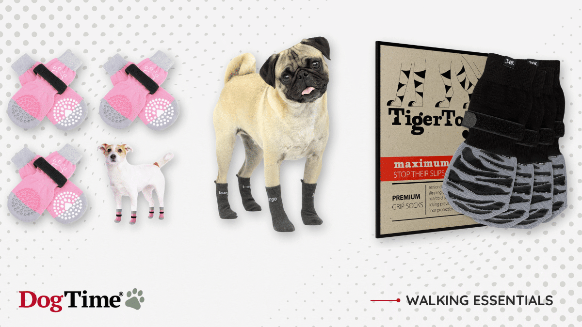 9 Best Dog Socks to Keep Your Fur Baby Cozy in 2024