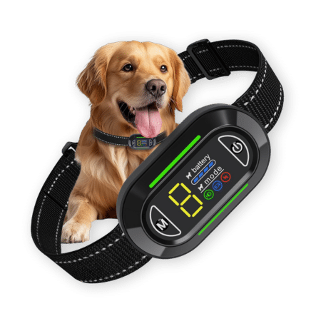 Types of Bark Collars: Mechanisms and Their Role in Behavior Training