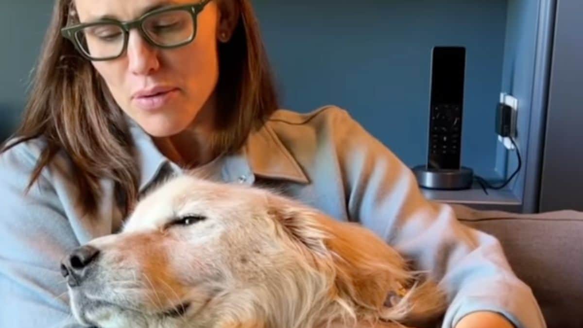 Jennifer Garner Bids Her Dog Goodbye in Crushing Tribute Note - DogTime