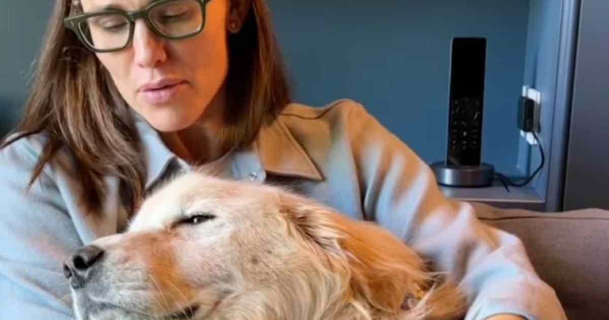 Jennifer Garner Bids Her Dog Goodbye in Crushing Tribute Note - DogTime