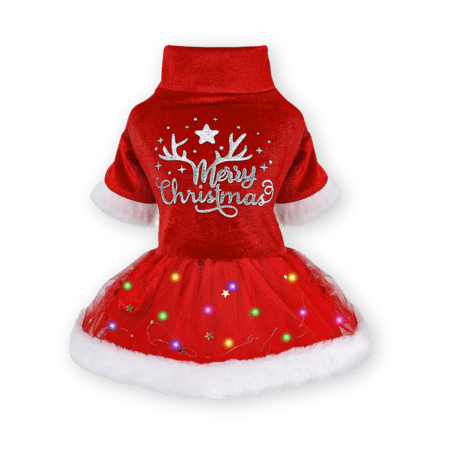Best Christmas Dog Outfits and Accessories