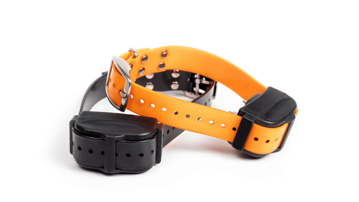 Types of Bark Collars: Mechanisms and Their Role in Behavior Training