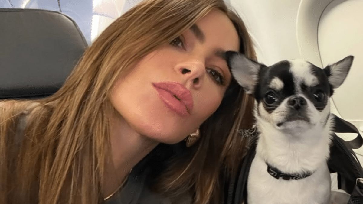 sofia vergara pool dog