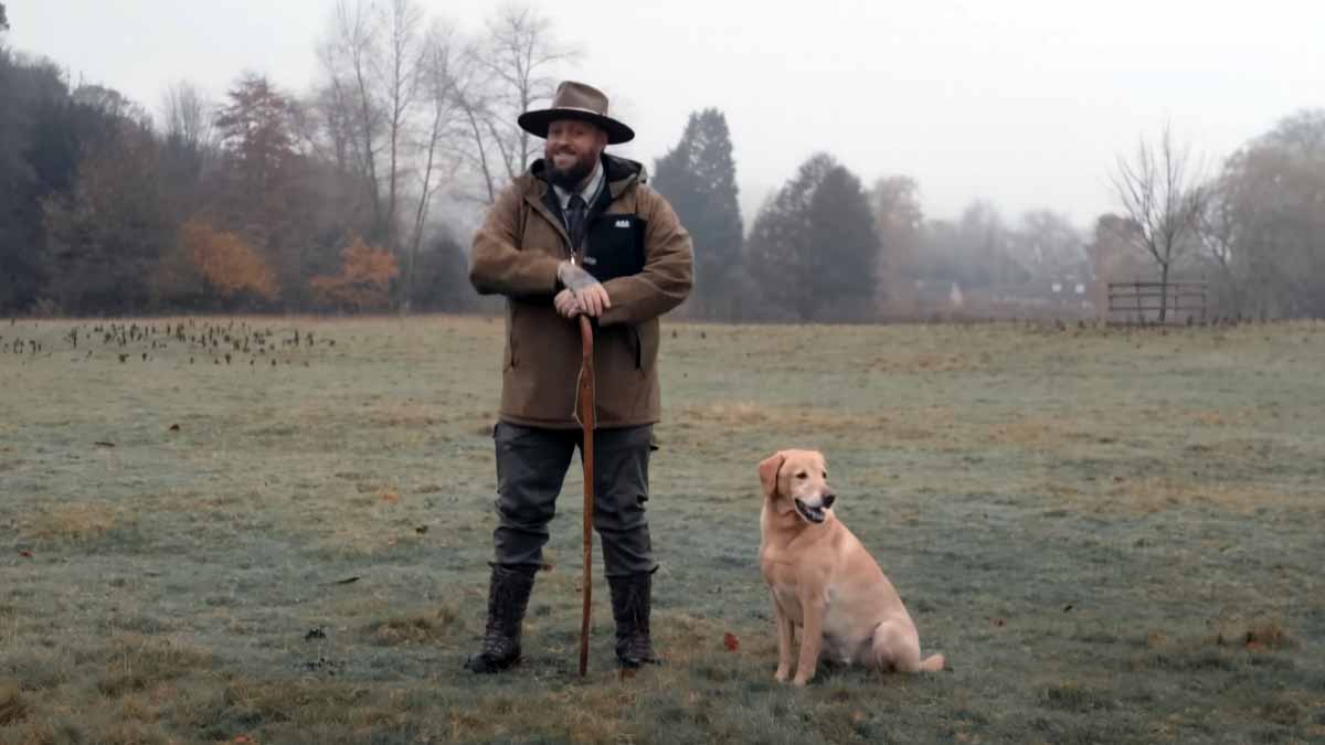 Dog Trainer Reveals 4 Crucial Daily Tasks to Do at Home - DogTime