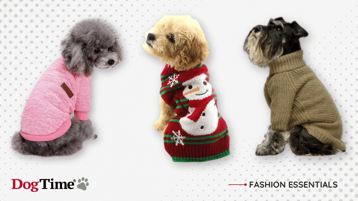 7 Best Dog Sweaters to Keep Your Pooch Warm and Stylish