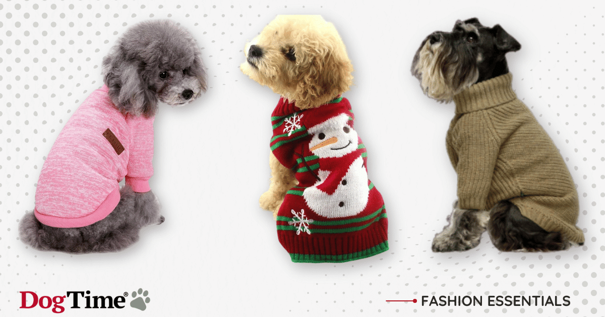 7 Best Dog Sweaters to Keep Your Pooch Warm and Stylish
