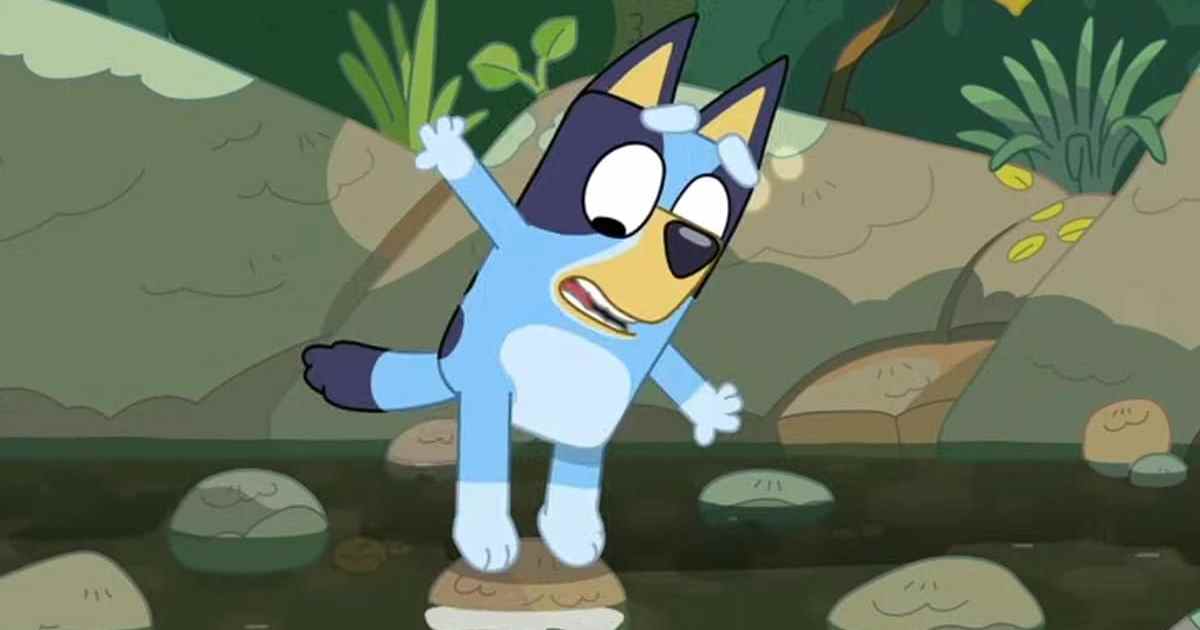 Is Bluey a Boy or a Girl? - DogTime