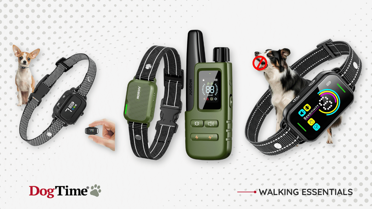 Miralax For Dogs: Uses, Dosage, & Side Effects - DogTime