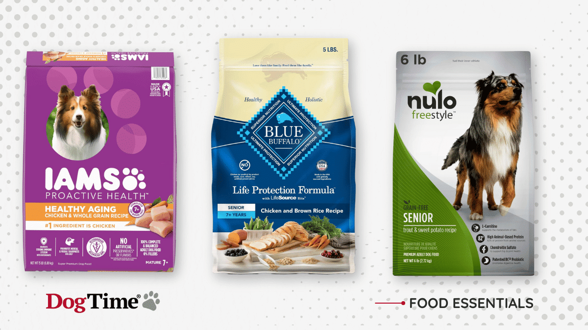 17 Best Senior Dog Food Picks — Ideal Nutrition for Your Aging Pet