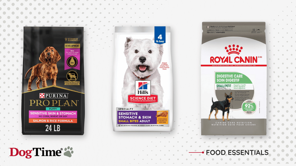 The Best Dog Food for Sensitive Stomachs