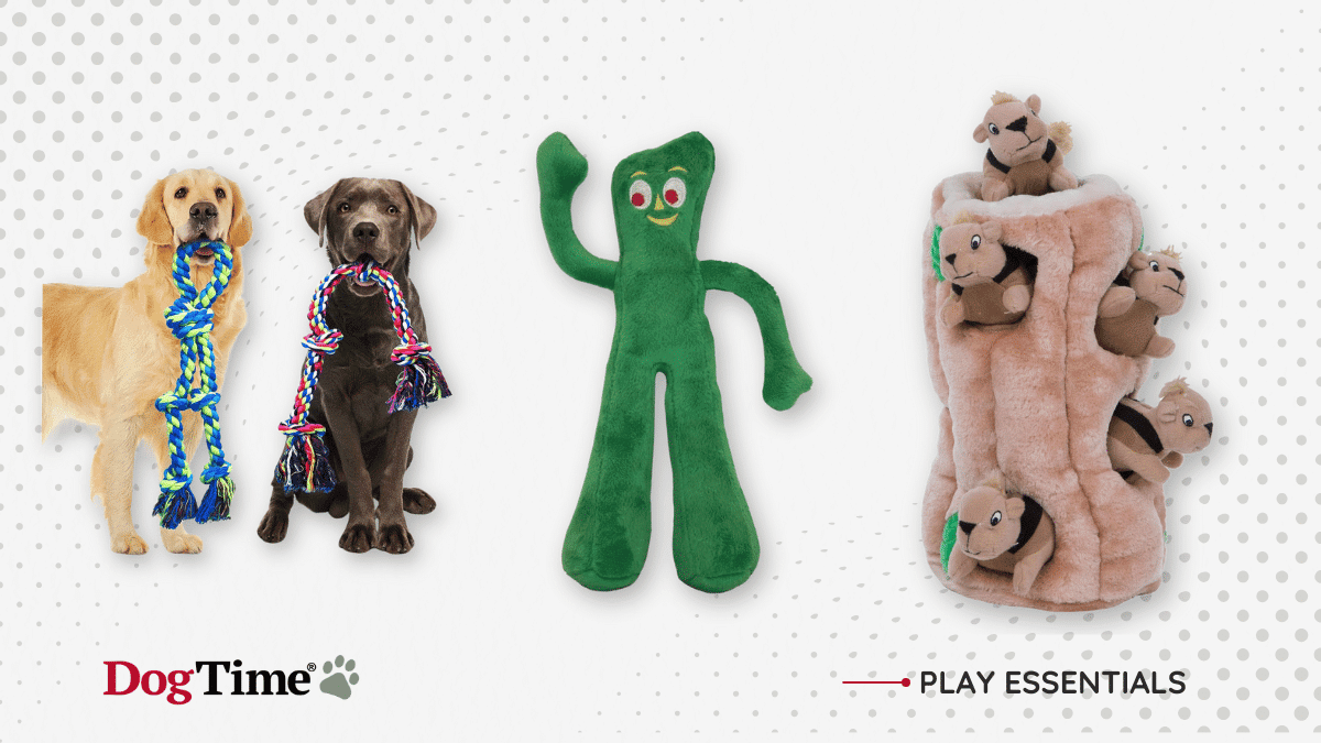 Indestructible Dog Toys That Can’t Be Destroyed & With Lifetime Guarantees