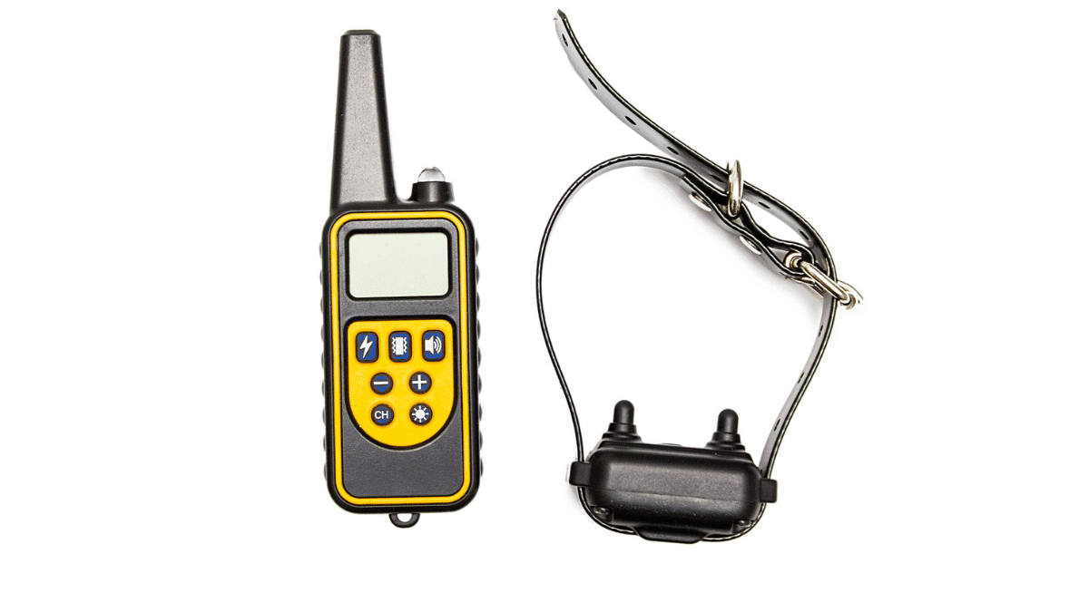 Types of Bark Collars: Mechanisms and Their Role in Behavior Training