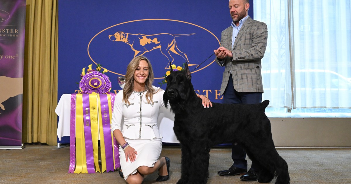 Who Won the Westminster Kennel Club Dog Show 2025?