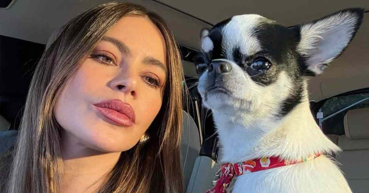 Sofia Vergara's Dog Is the Star of Her Valentine's Day Photos - DogTime