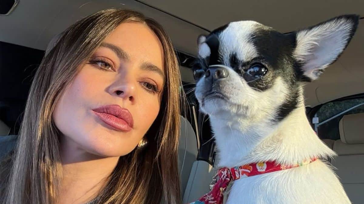 Sofia Vergara's Dog Is the Star of Her Valentine's Day Photos - DogTime
