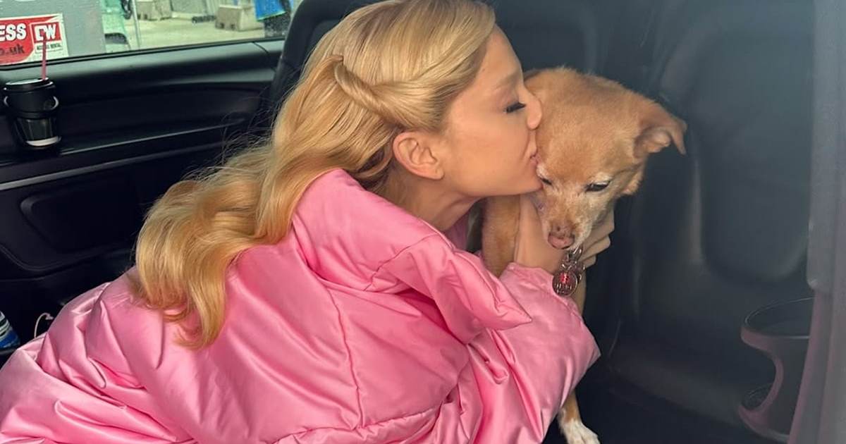 Ariana Grande's Dogs: Breeds, Ages, and More - DogTime