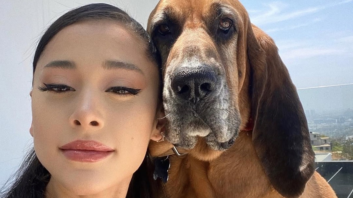 Ariana Grande's Dogs: Breeds, Ages, and More - DogTime