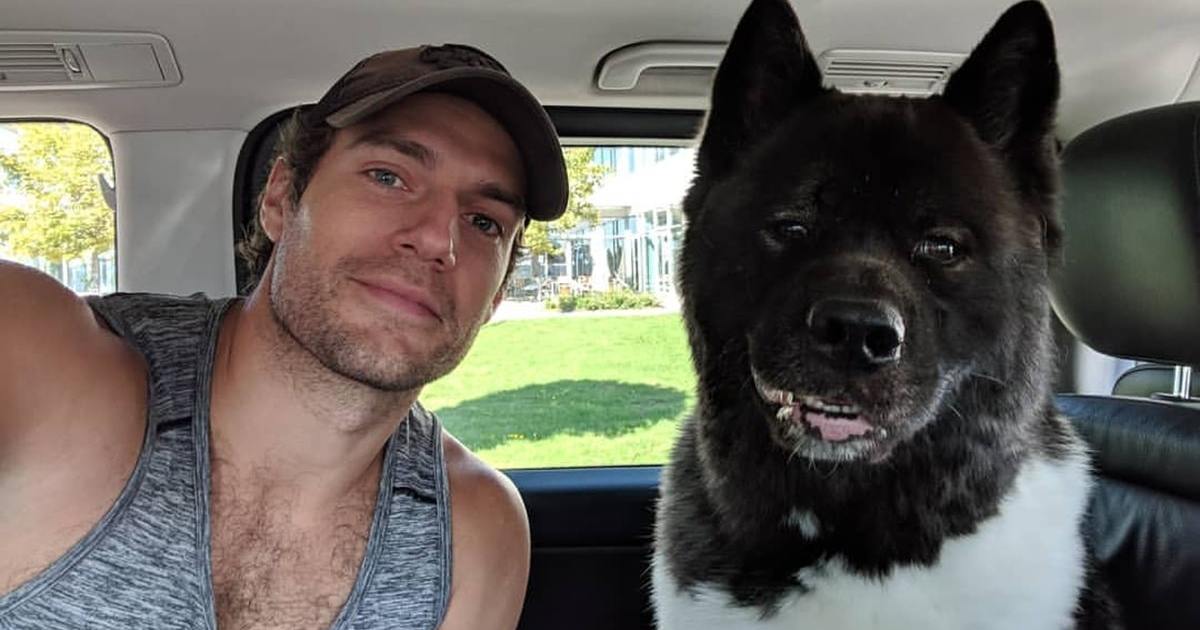 Henry Cavill's Dog Kal: Breed, Age, and More - DogTime