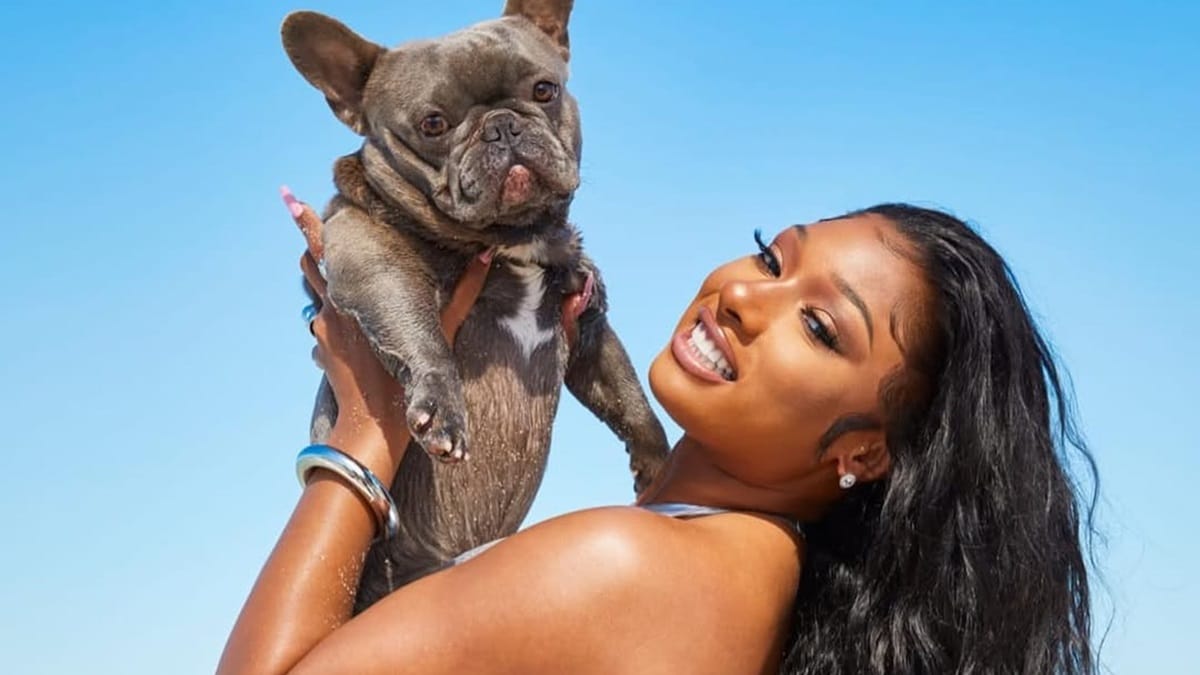 Megan Thee Stallion Dog 4oe: Breed, Age, and More - DogTime