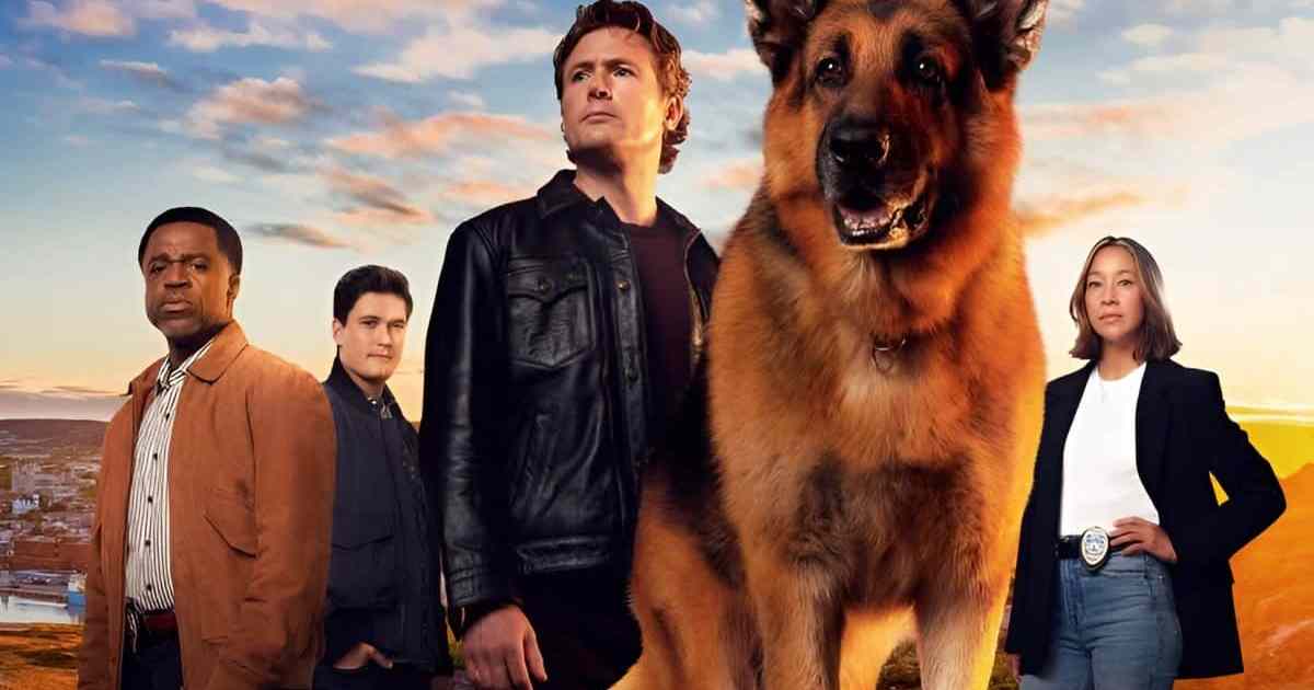 'Hudson & Rex' Producer Mourns Death of Furry Actor