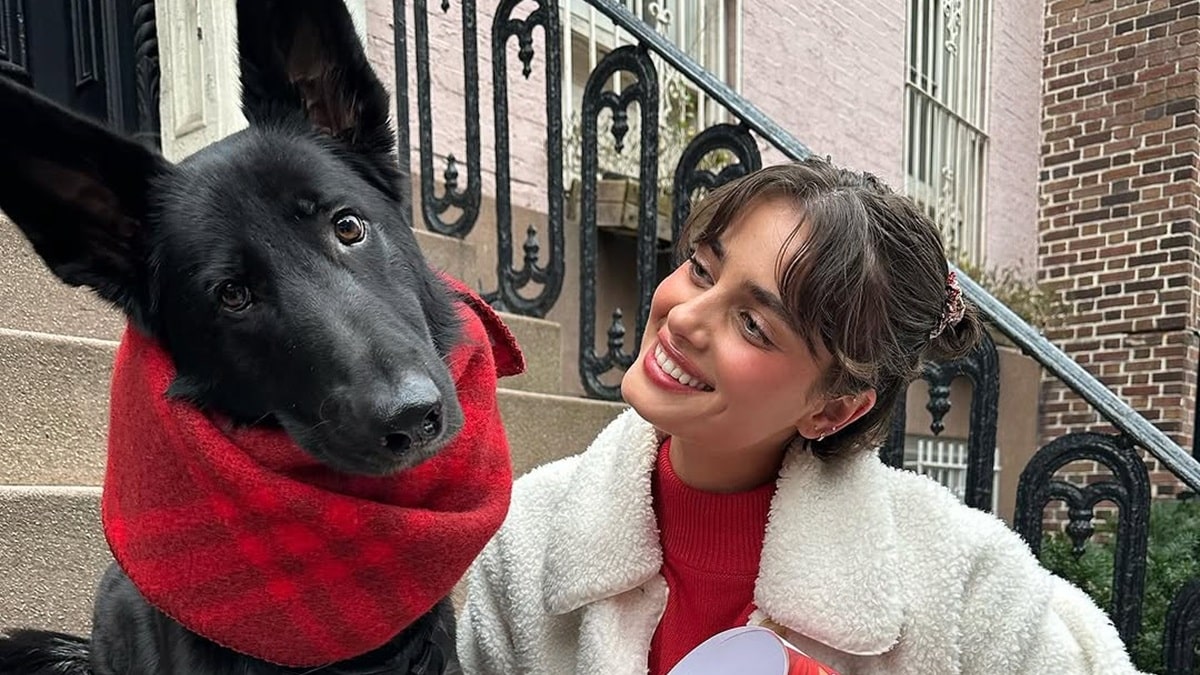Taylor Hill's Dog Salem: Breed, Age, and More - DogTime