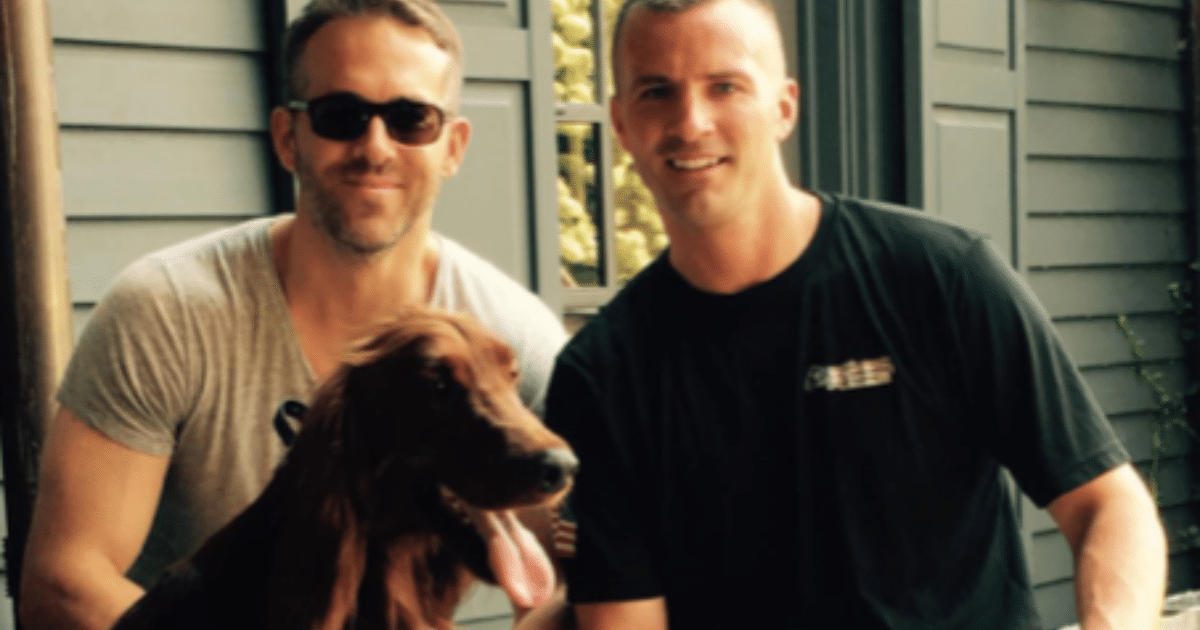 Ryan Reynolds' Dog Billie: Breed, Age, and More - DogTime