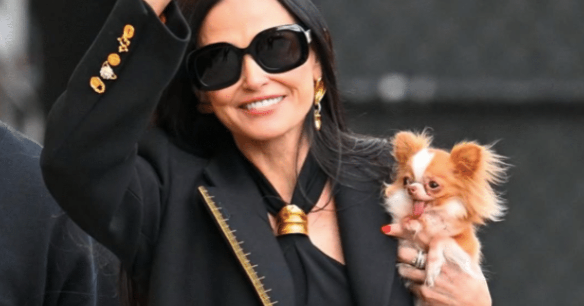 Demi Moore's Dog Pilaf: Breed, Age, and More - DogTime