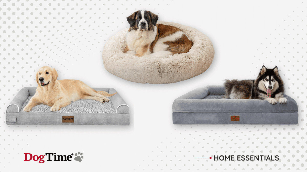 15 Best Large Dog Beds for Our Larger-Than-Life Fur Babies