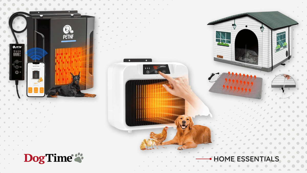 Best Heated Dog Houses in 2025