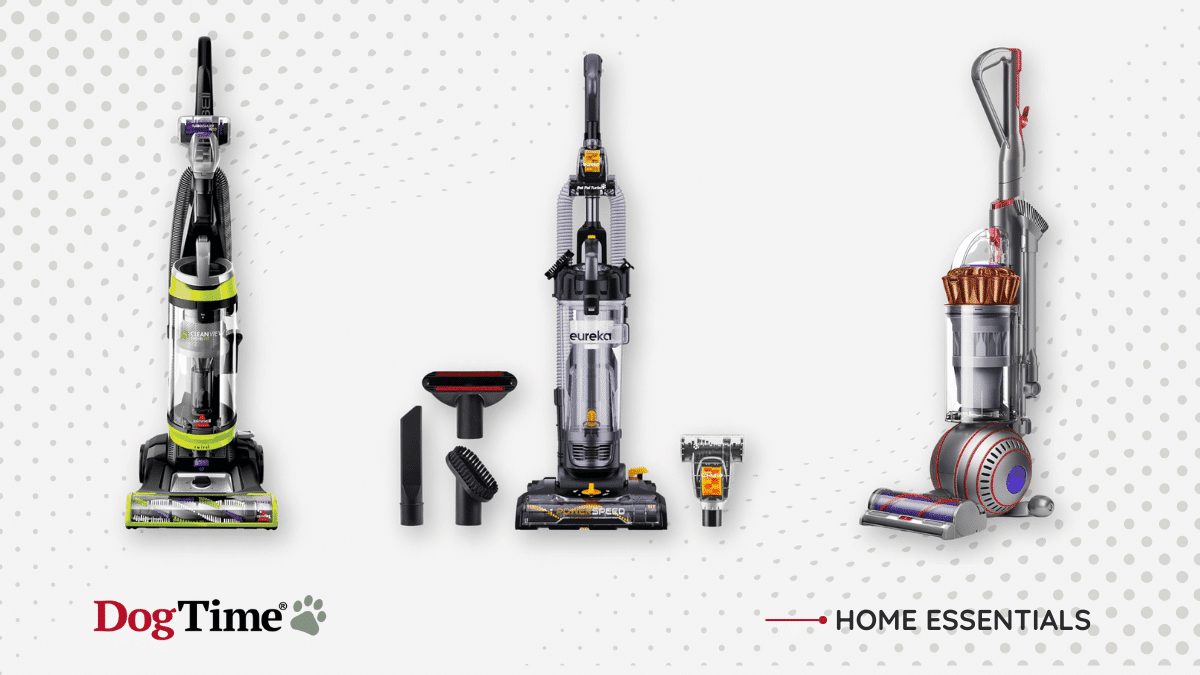 Best Vacuums for Pet Hair — Top-Rated Picks in 2025