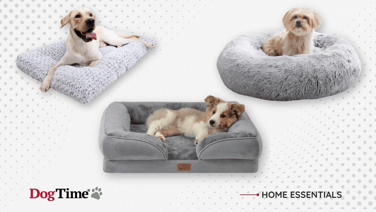7 Best Washable Dog Beds That Are Easy to Clean