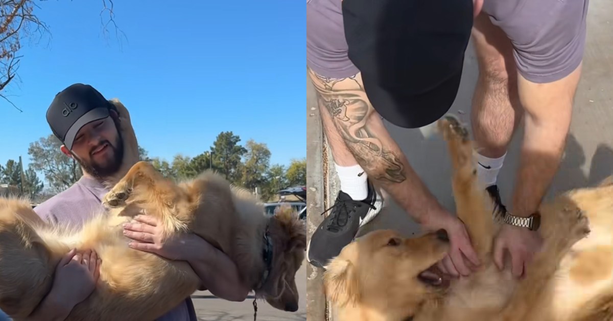 Video of Dog's Park Visit Ritual Leaves Internet in Splits