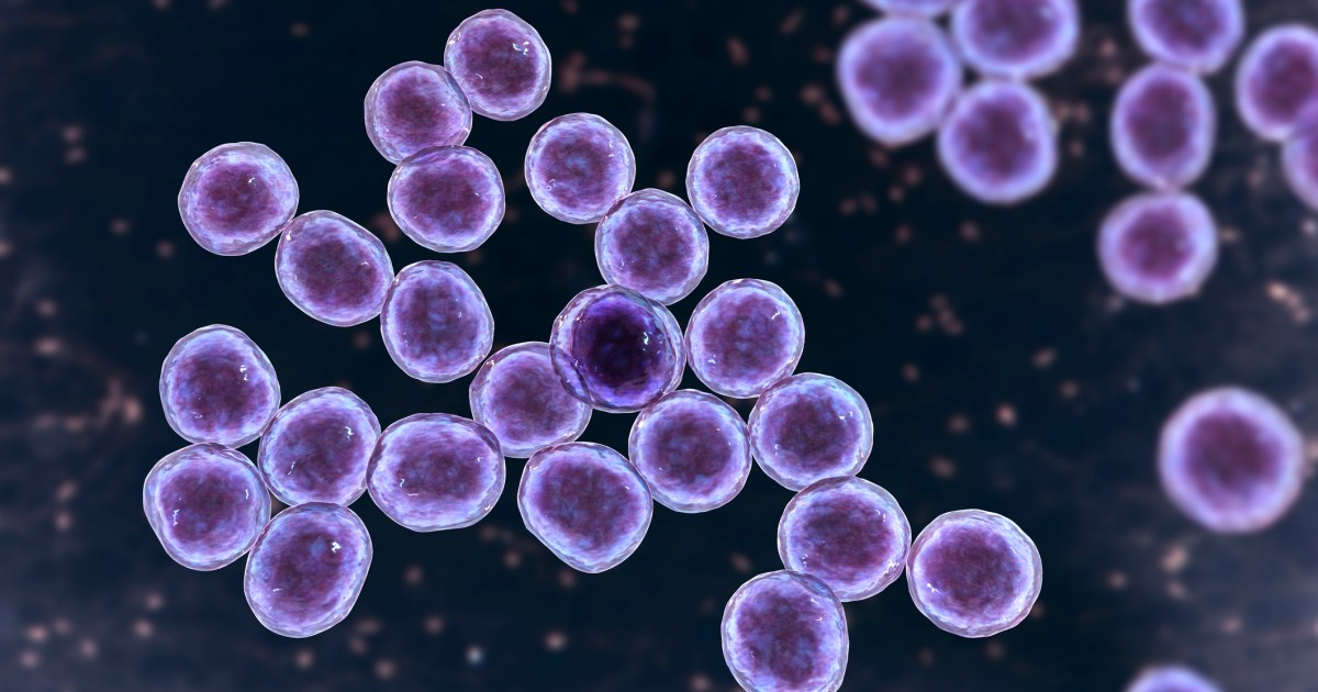 MRSA Infection in Dogs: Symptoms, Causes, & Treatments