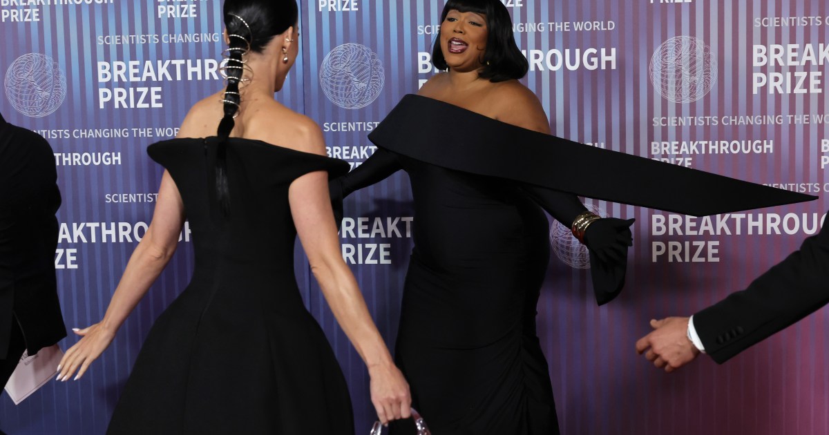 Lizzo Mourns Loss of Dog With This Katy Perry Song