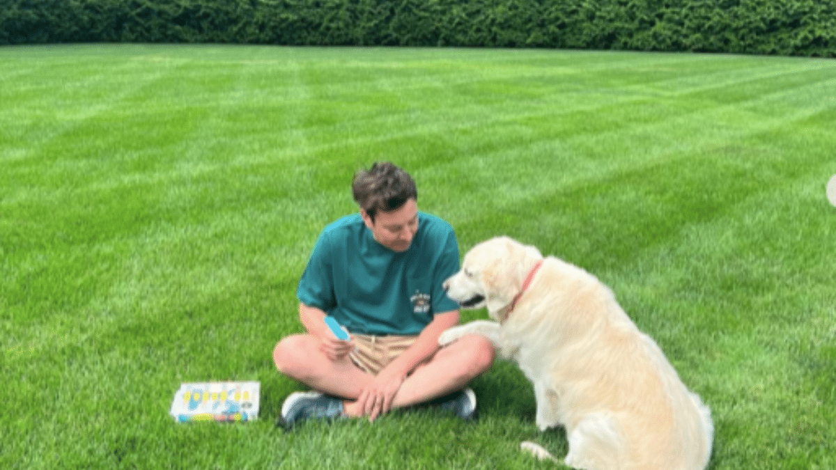 Jimmy Fallon's Dog Gary: Breed, Age, and More - DogTime
