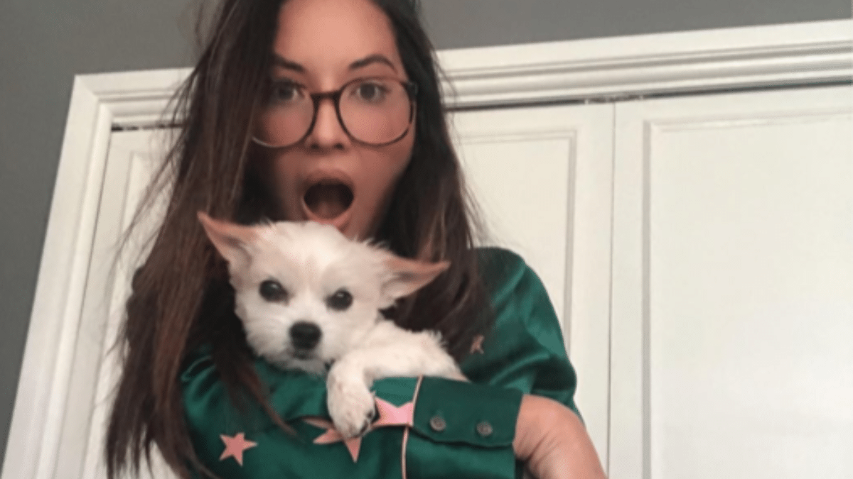 Olivia Munn's Dog Frankie: Breed, Age, and More - DogTime