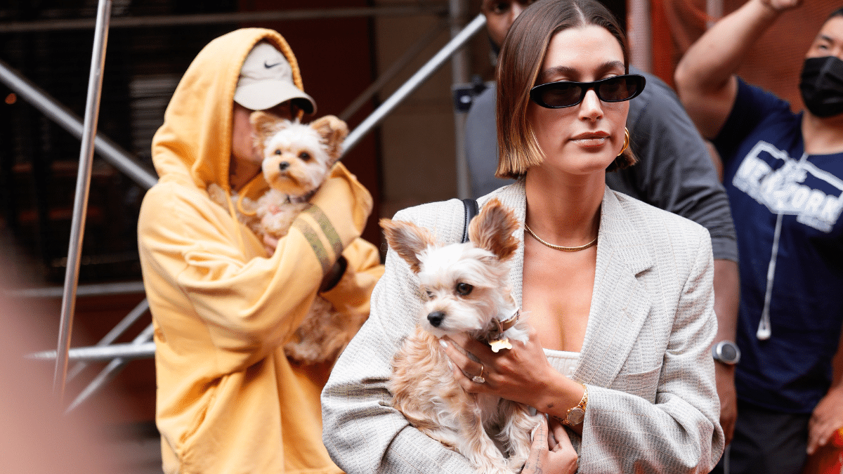 Hailey Bieber's Dogs Oscar and Piggy: Breed, Age, and More - DogTime