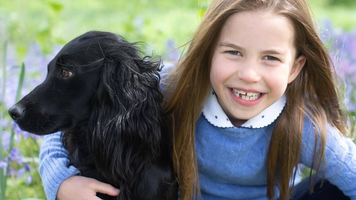 Prince William and Kate Middleton's Dog Orla: Age, Breed & More - DogTime