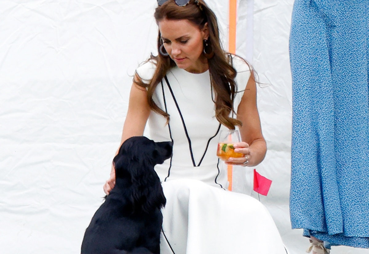 Prince William and Kate Middleton's Dog Orla: Age, Breed & More - DogTime