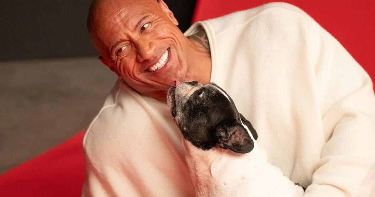 What Happened to Dwayne 'The Rock' Johnson's Dog Hobbs? - DogTime