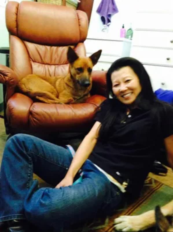 Here's Why Gene Hackman's Kelpie Dog Was Misidentified as a German ...