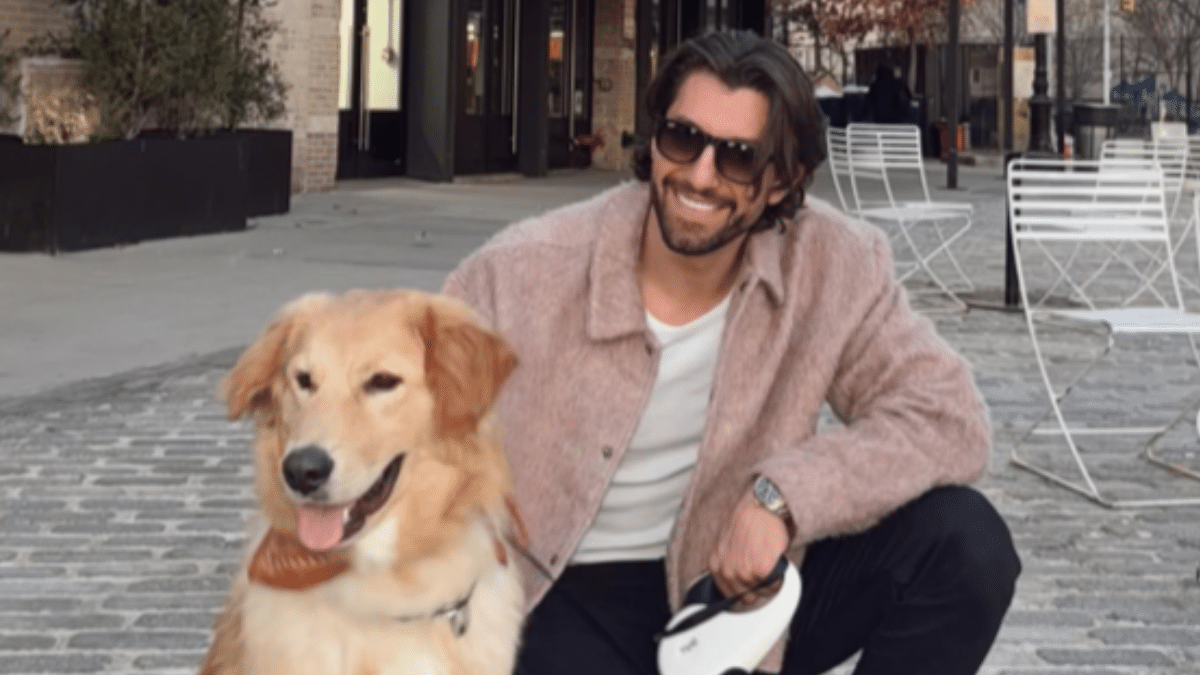 Jason Tartick's Dog Teddy: Breed, Age, and More - DogTime