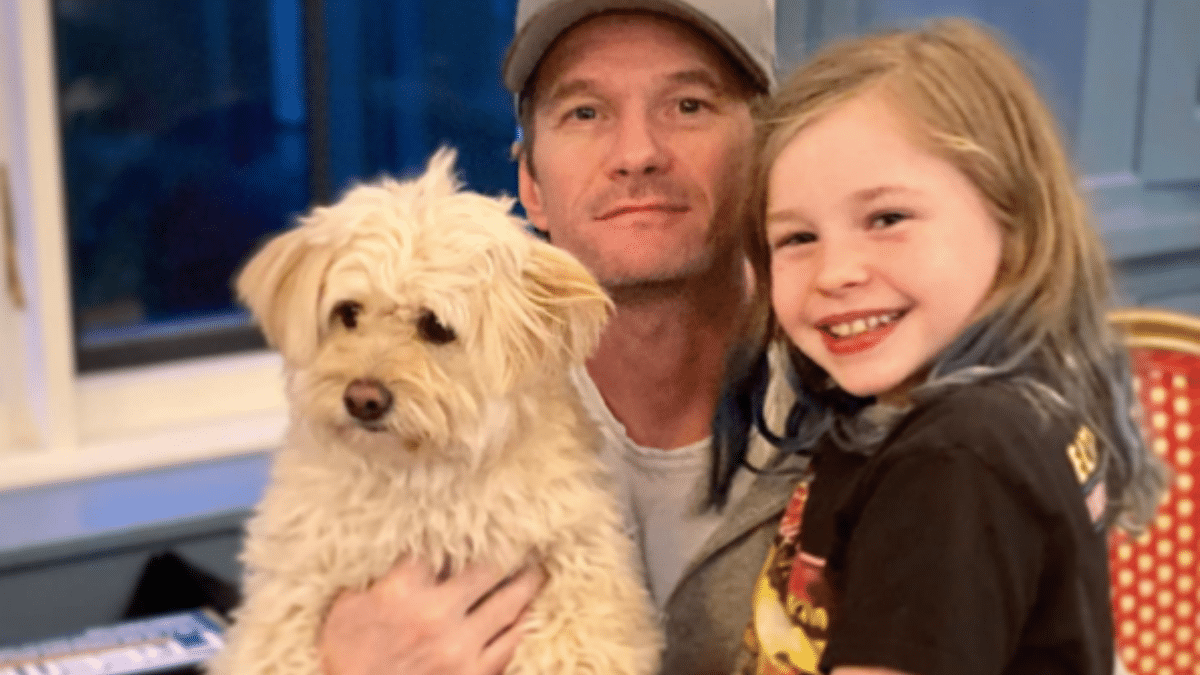 Neil Patrick Harris' Dog Gidget: Breed, Age, and More - DogTime