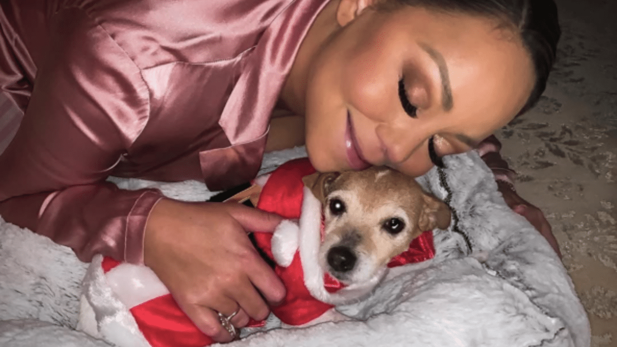 Mariah Carey's Dog Cha Cha: Breed, Age, and More - DogTime