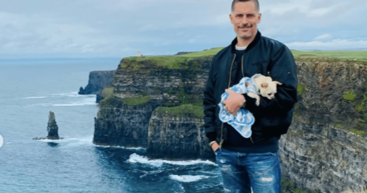 Joe Manganiello's Dog Bubbles: Breed, Age, and More - DogTime