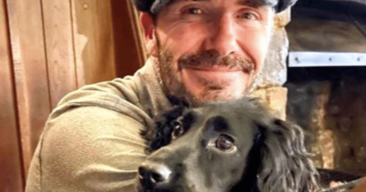 David and Victoria Beckham's Dog Fig: Breed, Age, and More - DogTime