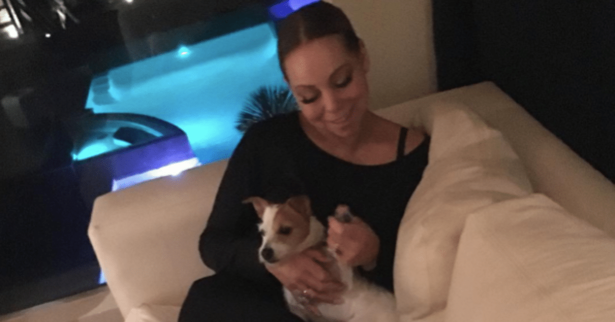 Mariah Carey's Dog Jill E. Beans: Breed, Age, and More - DogTime