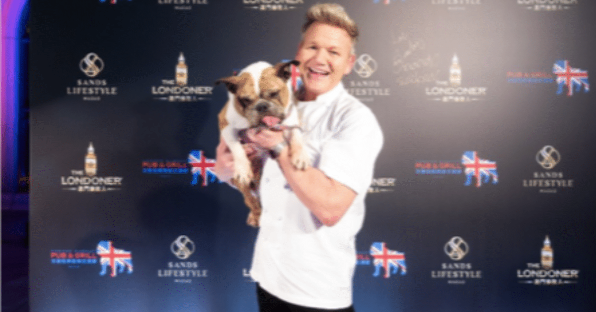 Gordon Ramsay's Dog Tomato: Breed, Age, and More - DogTime
