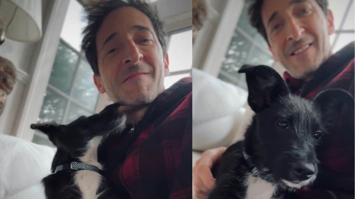 Video: Adrien Brody Adopts Dog That No One Wanted - DogTime