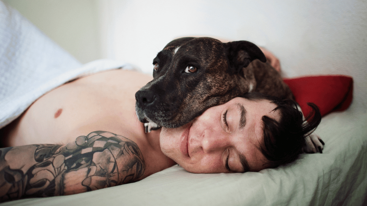 Best Human Dog Beds for the Ultimate Cuddle Fest